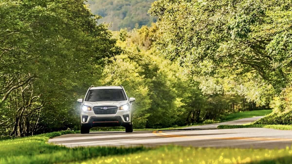 The Safest Cars Aren t The Most Expensive Subaru Forester Rated 2nd The Safest Cars Aren t The Most Expensive Subaru Forester Rated 2nd
