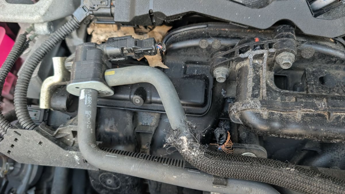 A 2025 Toyota Sienna Left Parked for 39 Hours on a Washington DC Street ...