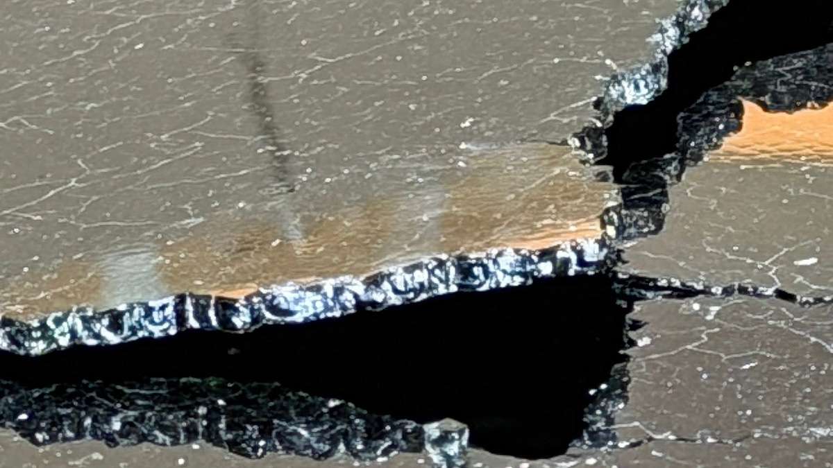 2025 Kia Telluride Owner's Panoramic Sunroof Shattered Twice as Other ...