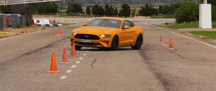 Watch the Ford Mustang GT Take on the Moose Test | Torque News