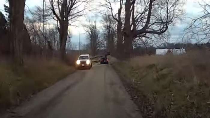 Giant Fallen Tree Smashes Into Tesla With Occupants Inside | Torque News